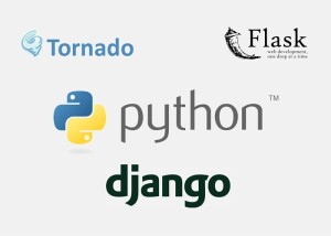 Django, Flask, and Tornado - the most popular Python frameworks and their differences - Big Data ...